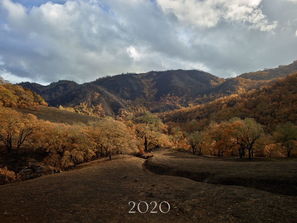 All About Cain - Cain Vineyard & Winery